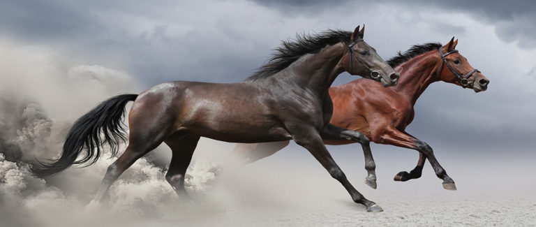 About us - Alternative Healthworks